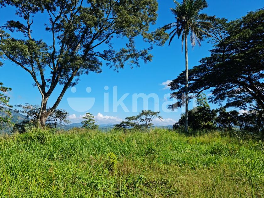 Land for Sale in Matale | ikman