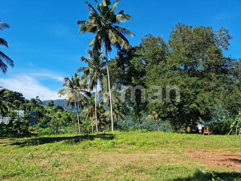 Land for Sale in Matale | ikman