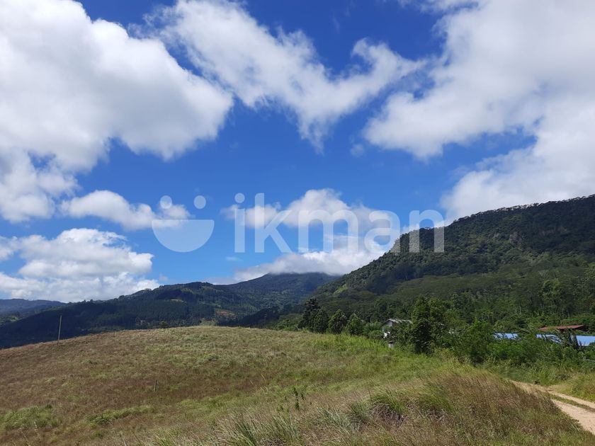 Land for Sale in mountain Range Delthota | ikman