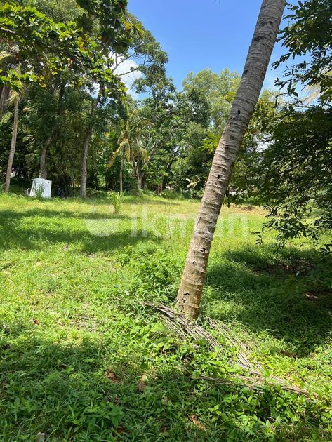 LAND FOR SALE IN PILIYANDALA-LS-371 | ikman