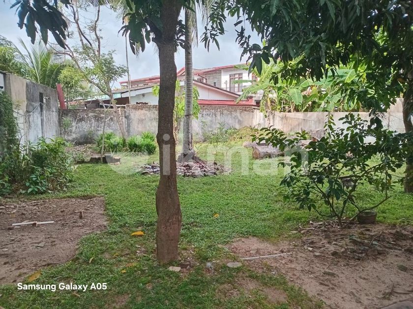 Land For Sale In Rathmalana - CL759 | ikman