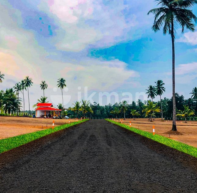 Land for Sale in Sandalankawa, Negambo Boader | ikman