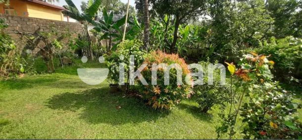 LAND FOR SALE IN THALAWATHUGODA KALALGODA | ikman