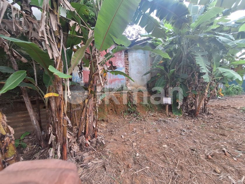 Land for Sale in Wellampitiya | ikman