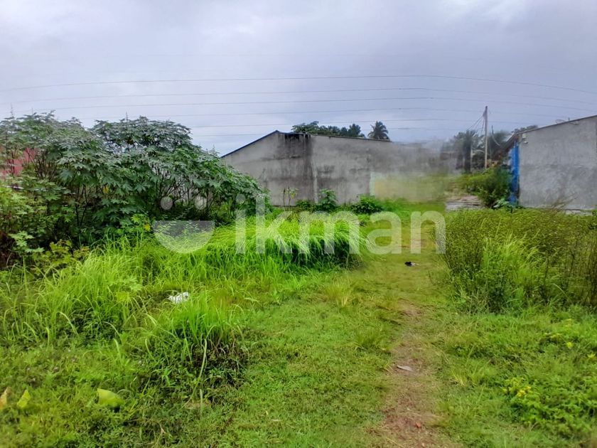Land for Sale in Wellampitiya | ikman