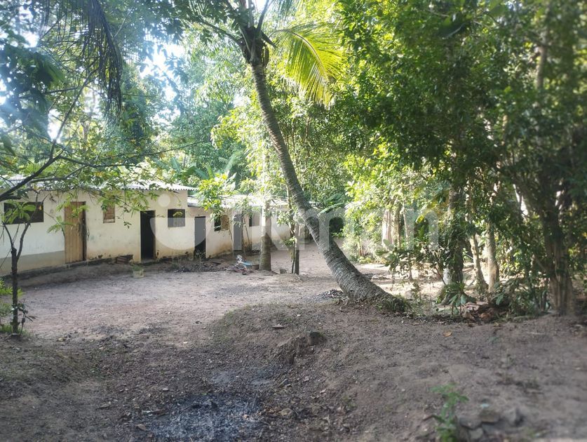 Land for Sale - Katunayake | ikman