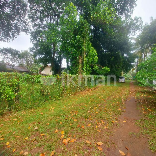 Land for Sale Kelaniya Kohalwila ( ID :KAL002) | ikman