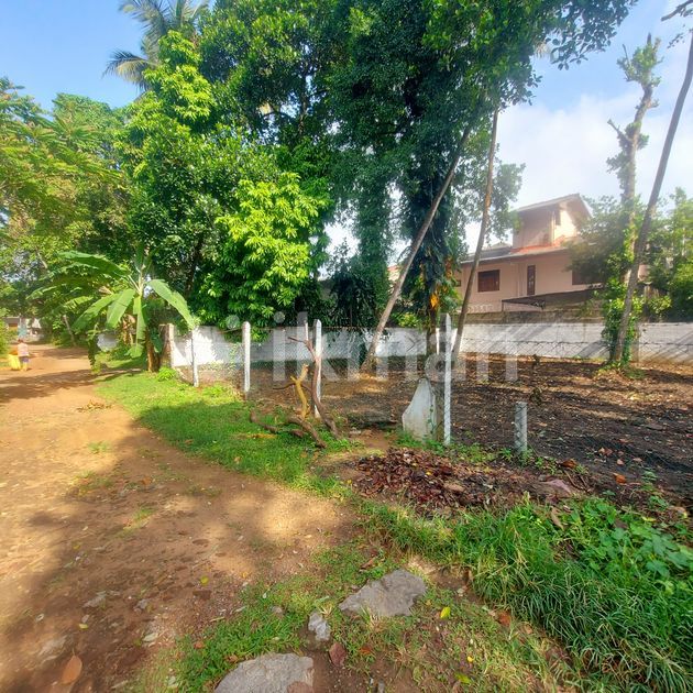 Land for Sale Kelaniya, Kohalwila. ( ID :KAL002) | ikman