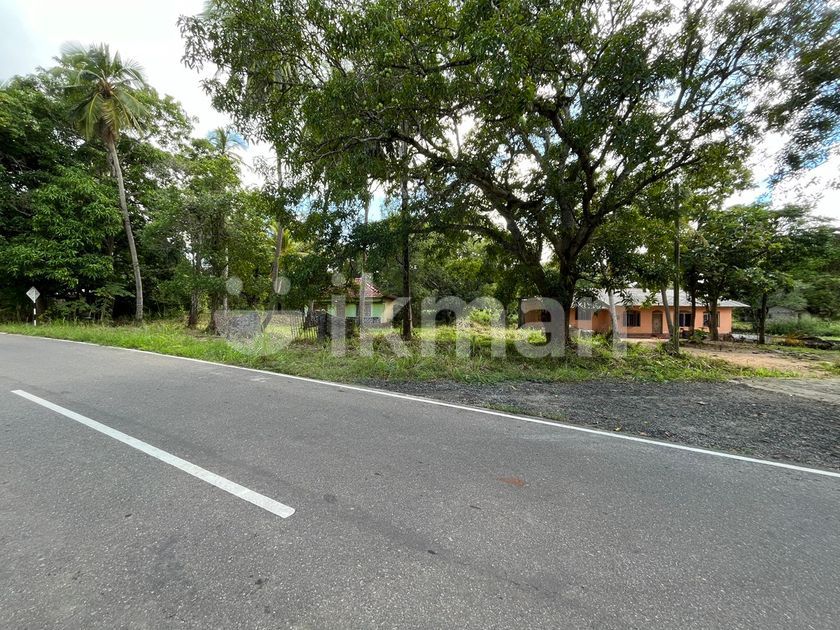 Land for Sale Kimbissa | ikman