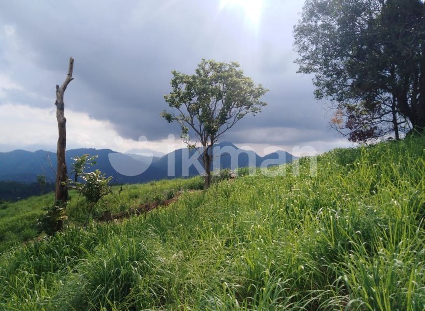 Land for Sale Lulkadura Road Delthota | ikman