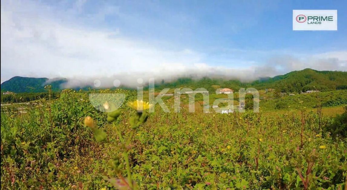 Land for Sale Lulkadura Road Delthota | ikman