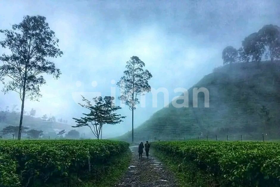 Land for sale lulkadura road Delthota kondagala | ikman
