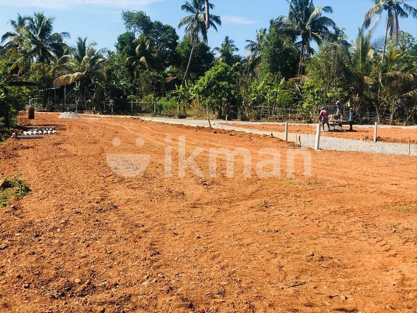 Land For Sale Mirigama | ikman