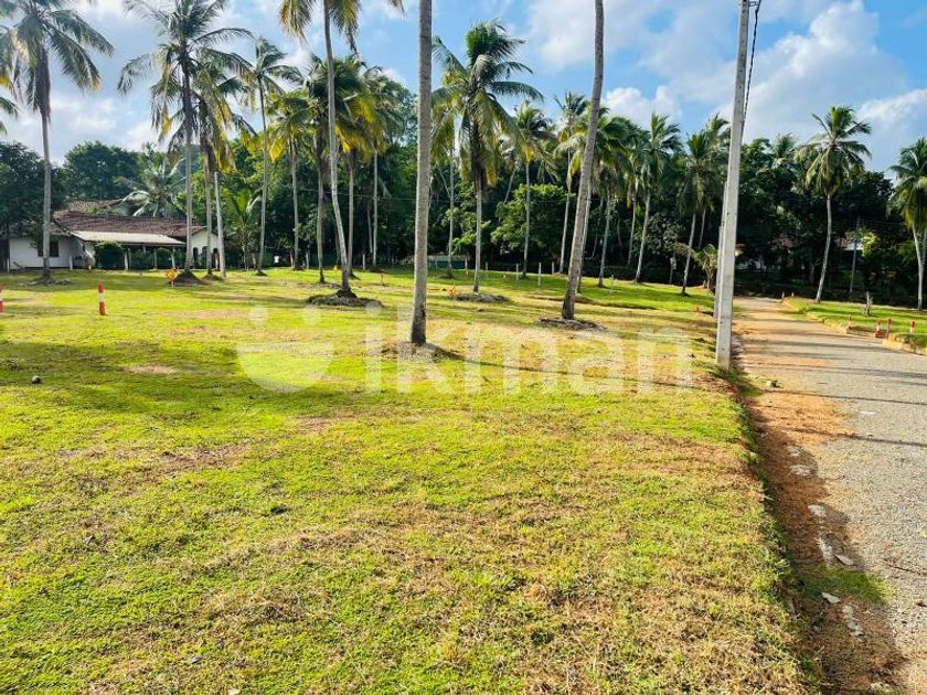 Land for Sale Mirigama | ikman