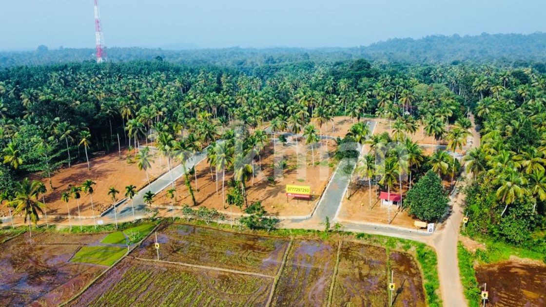 Land for Sale Mirigama | ikman