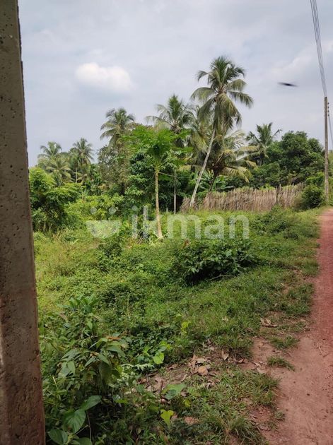 Land for sale Negombo | ikman