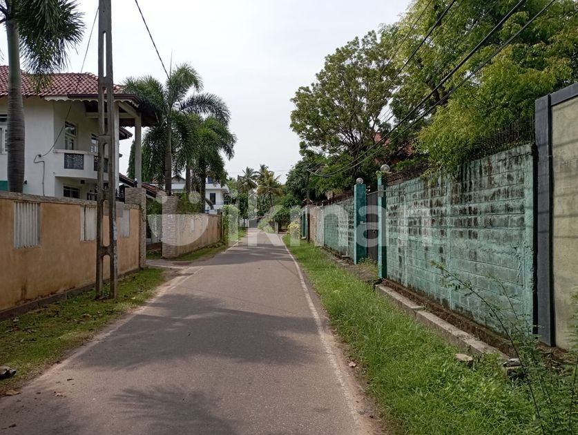 Land For Sale Negombo Town Area Gampaha | ikman