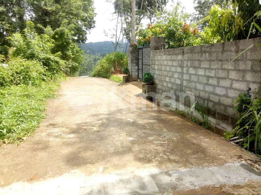 Land for Sale Nelum Deniya Alawwa road | ikman