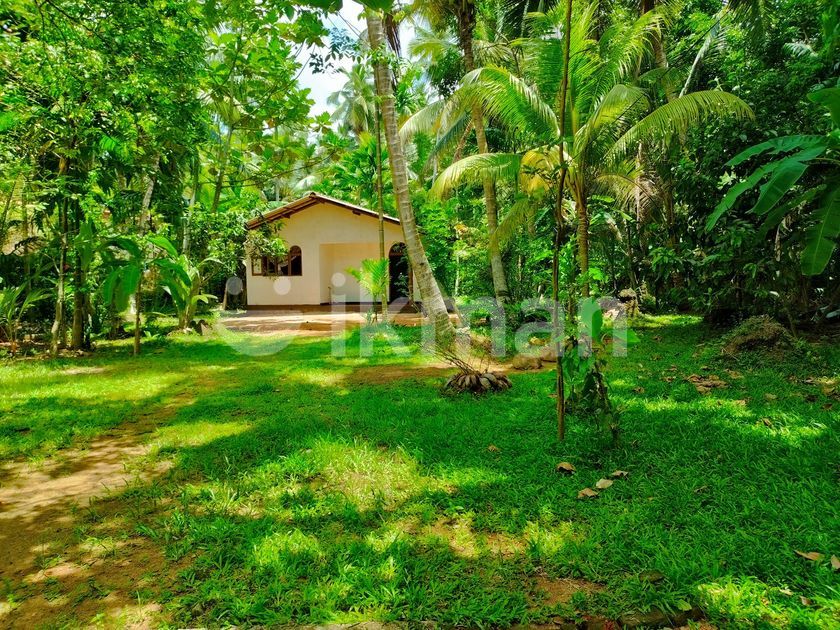 Land for Sale Nittambuwa | ikman