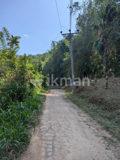 Land for Sale Nittambuwa | ikman