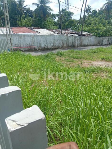Land for Sale Piliyandala | ikman