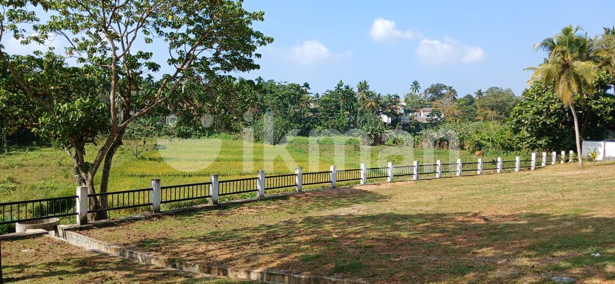 Land for Sale Piliyandala (S20) | ikman