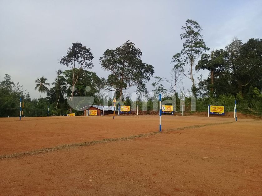 Land for sale Pitigala. | ikman
