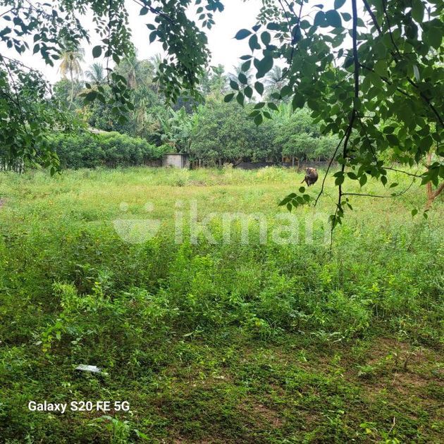 LAND FOR SALE URUMPERAI | ikman
