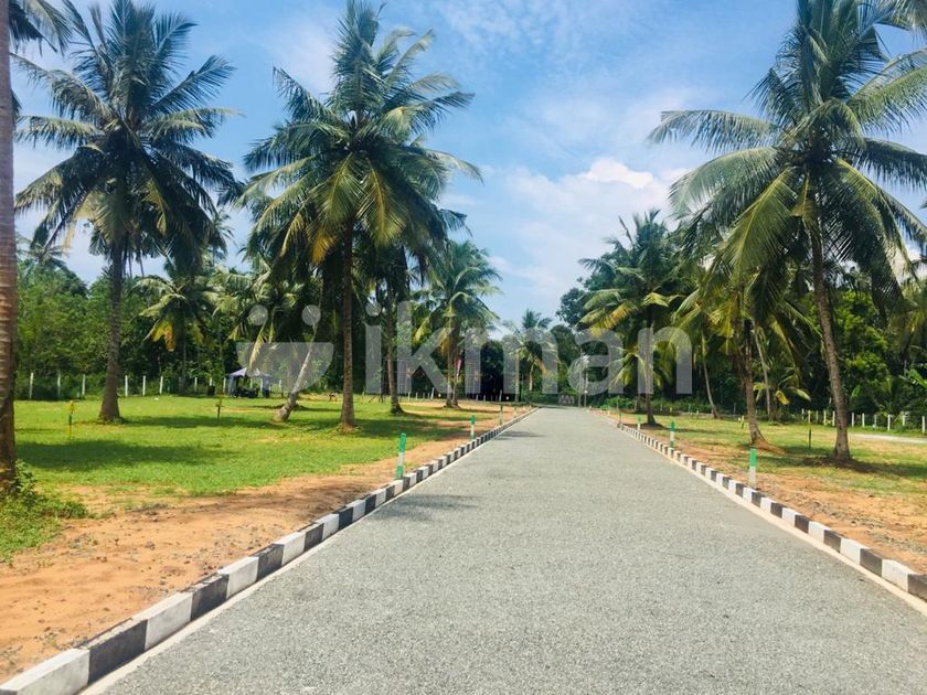 Land for sale Negombo | ikman