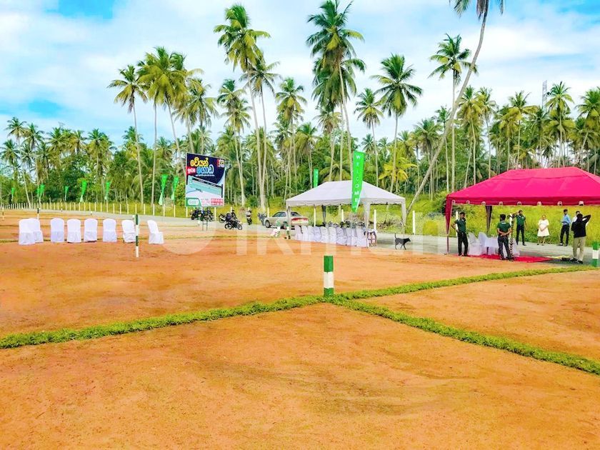 Land for Sale Veyangoda | ikman