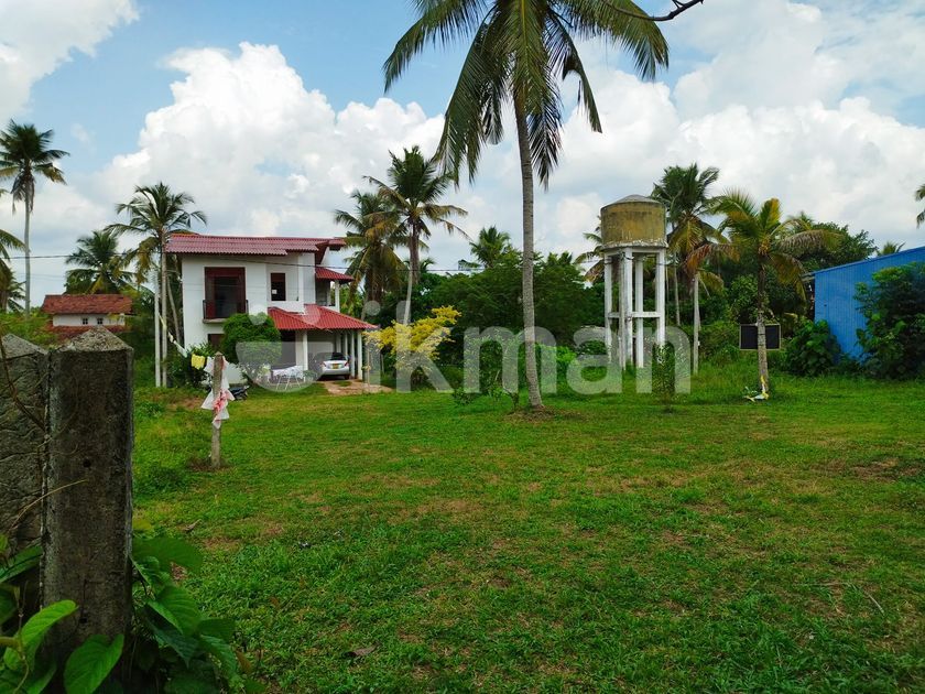 Land for Sale Veyangoda | ikman