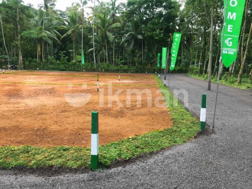 Land for Sale welipenna | ikman