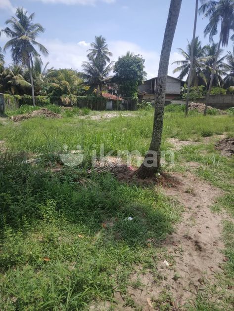 Land for Seeduwa Raddolugama | ikman