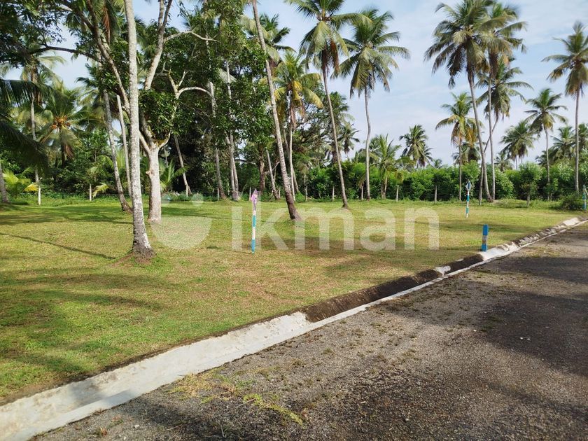 Land Fro Sale Nittambuwa Town | ikman