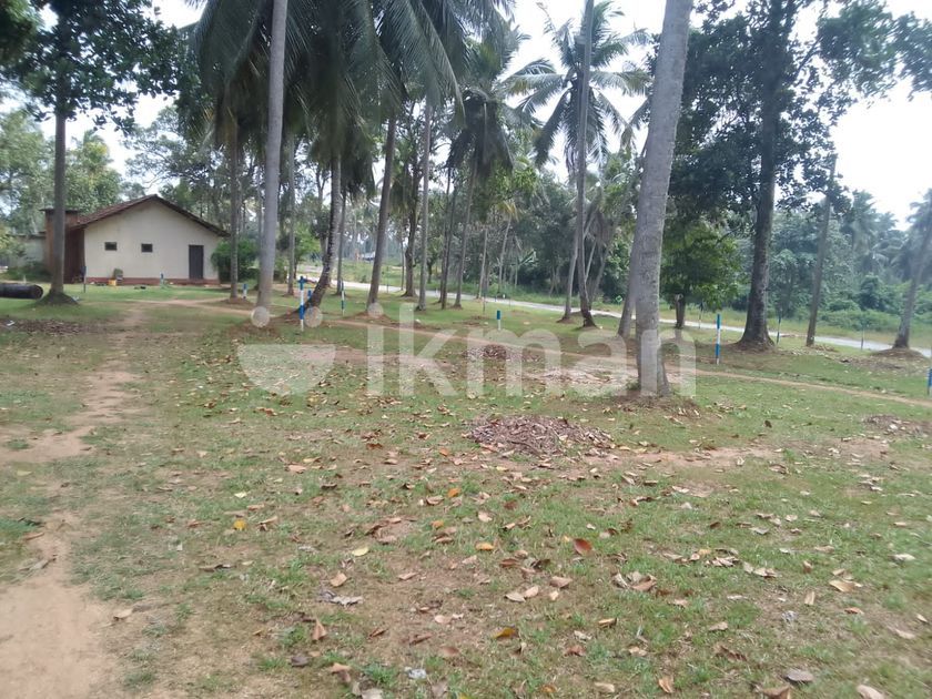 Land in Divulapitiya | ikman