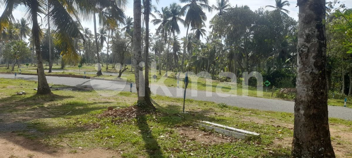 Land In Divulapitiya | ikman