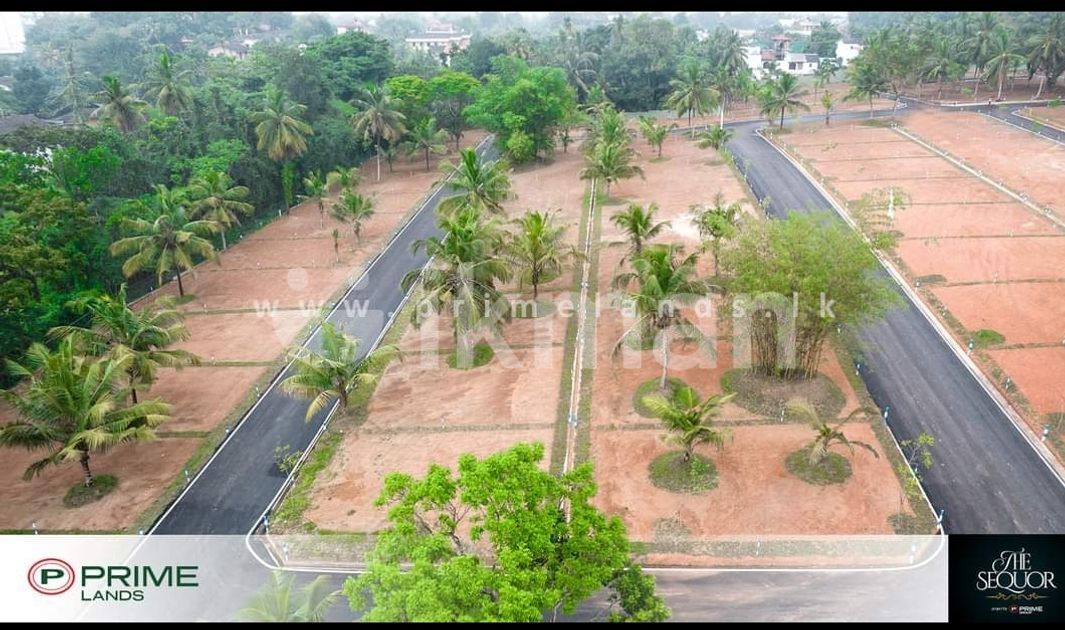 Land In Gampaha Town | ikman