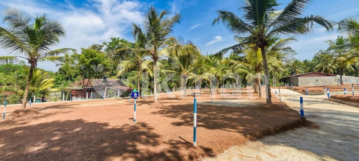 Land In Kadawatha | ikman