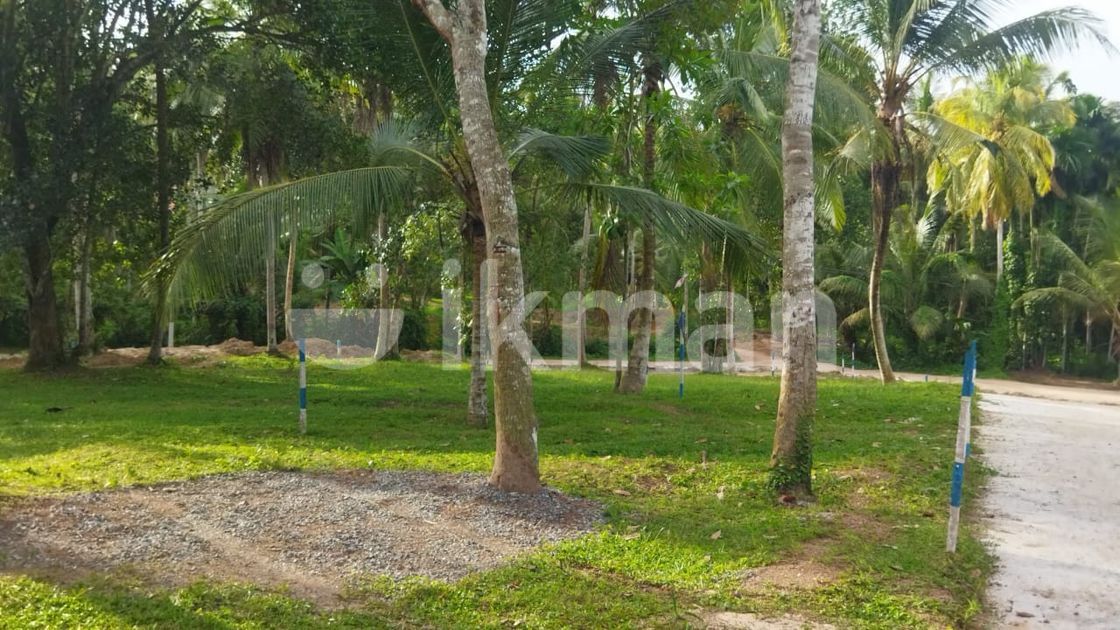 Land in Minuwangoda Dewalapola | ikman