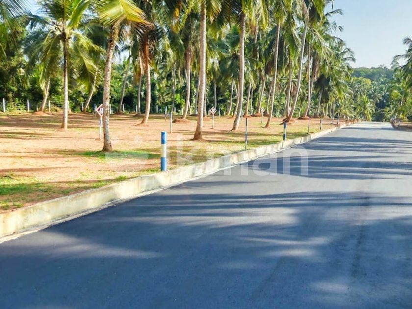 Land In Minuwangoda | ikman