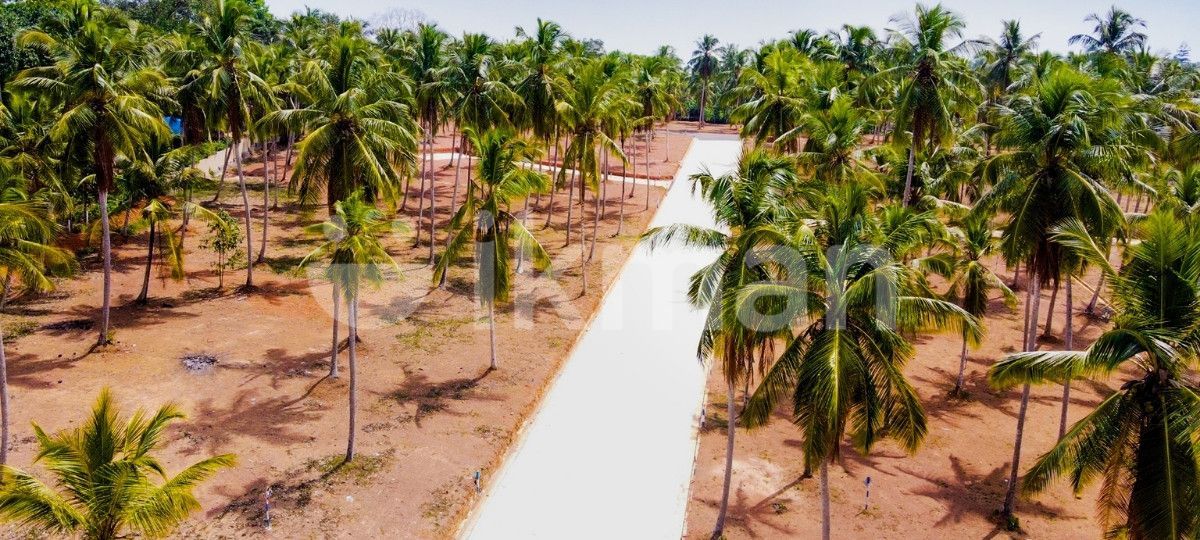 Land In Minuwangoda | ikman