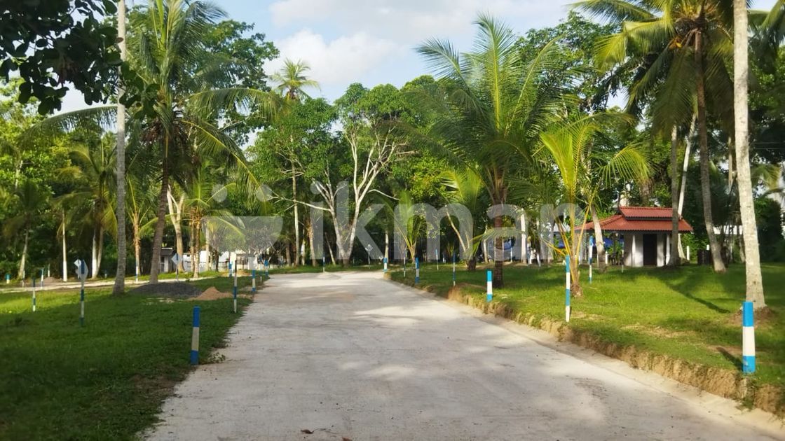 Land In Minuwangoda | ikman