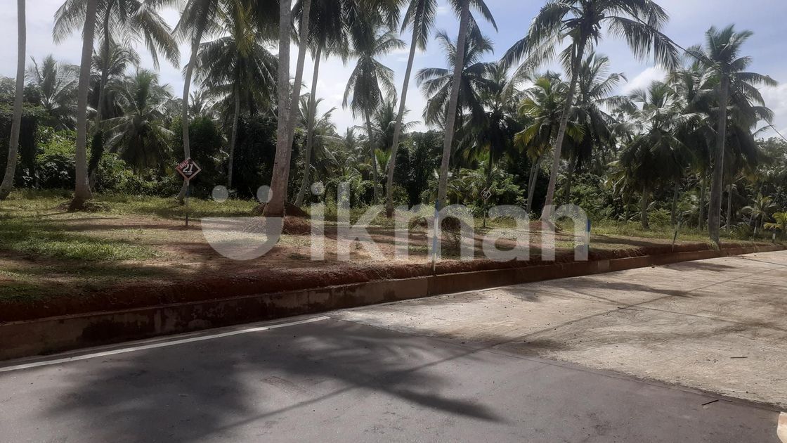 Land In Minuwangoda | ikman