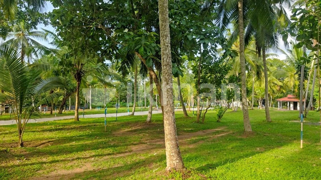 Land In Minuwangoda | ikman