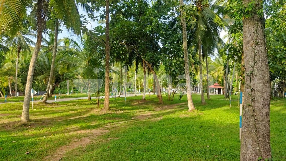 Land in Minuwangoda | ikman