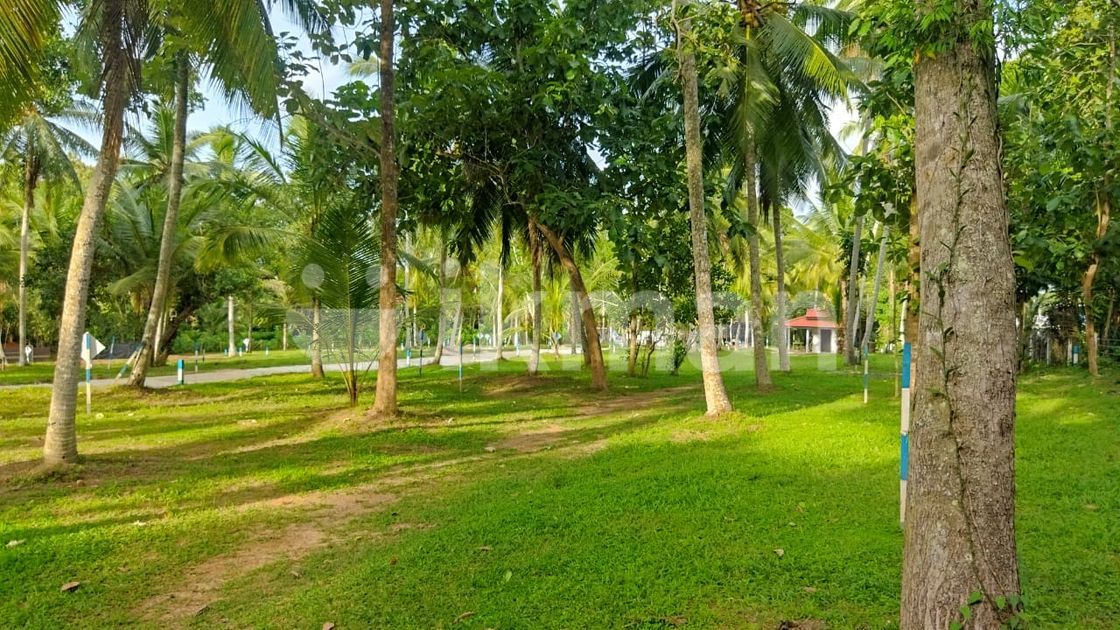 Land In Minuwangoda | ikman