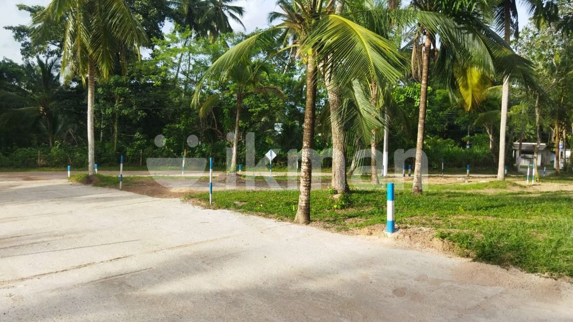 Land In Minuwangoda | ikman