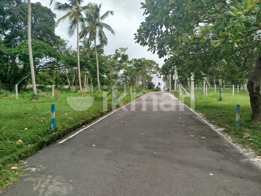 Land in Raddolugama | ikman