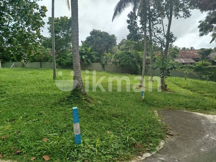 Land in Raddolugama | ikman