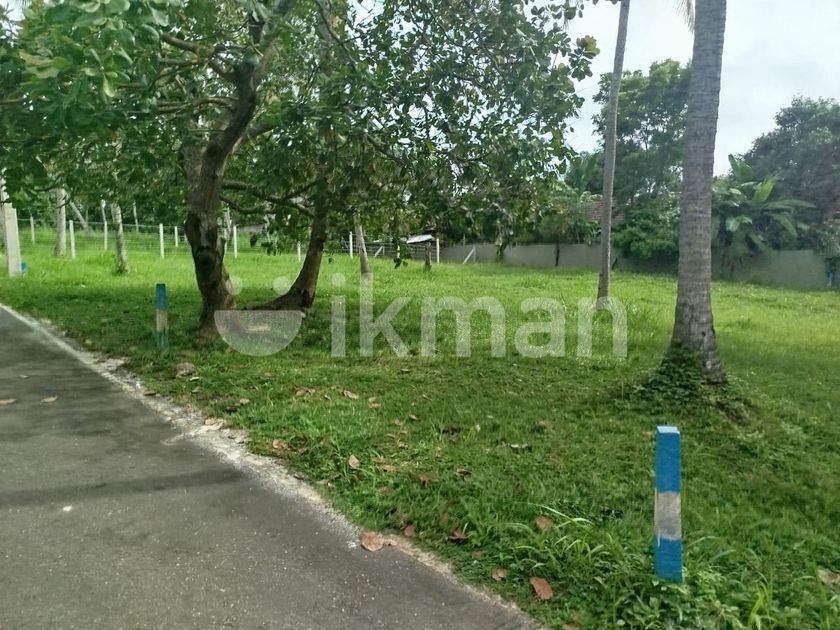 Land In Raddolugama | ikman